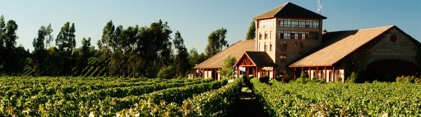 Chile’s Sustainable Winemaking Mapped | VinePair