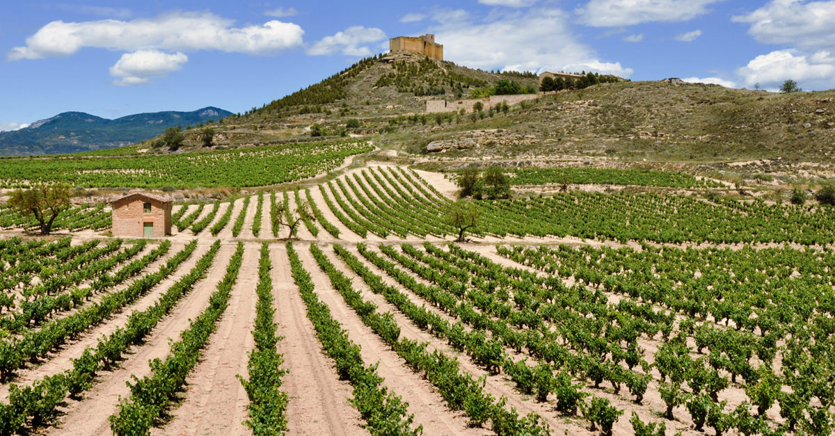 Learn About Rioja Wine From Spain | Wine 101
