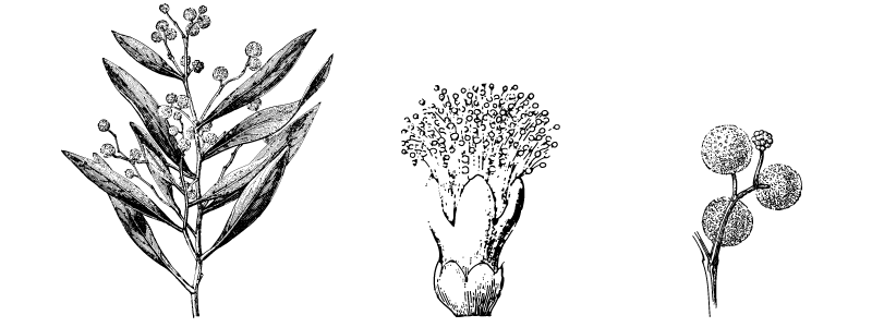 What Is A Tannin? A Guide To Tannins | Wine 101