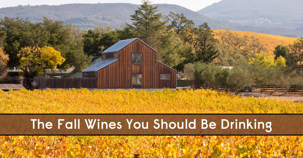 The Fall Wines You Should Be Drinking | VinePair