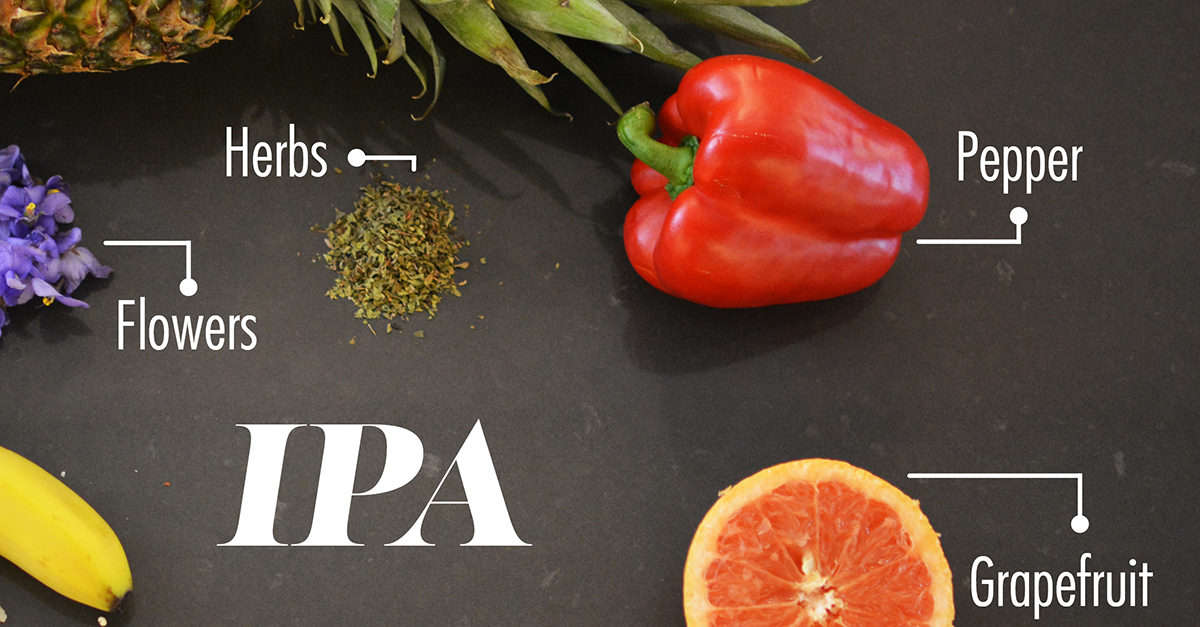 The Flavors In Your Favorite Beers Visualized | VinePair