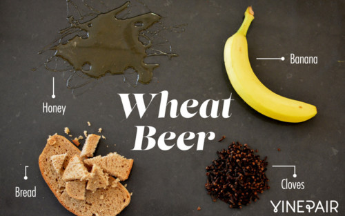 The Flavors In Your Favorite Beers Visualized | VinePair