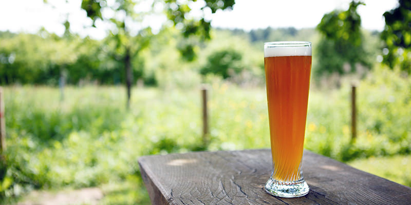 Weissbier (Weizenbier) Beer Style Guide | VinePair
