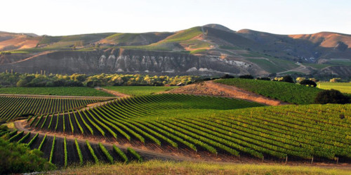 The 11 American Wineries With Breathtaking Views | VinePair