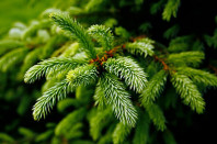 20 Words Every Beer Drinker Needs To Know | VinePair