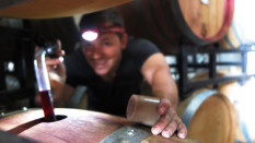 A Day In The Life Of A Wine Cellar Rat | VinePair