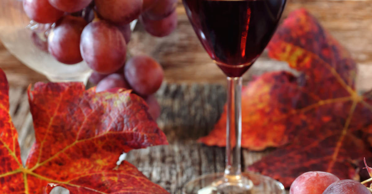 Beyond Beaujolais: 3 Delicious European Reds for Fall | VinePair