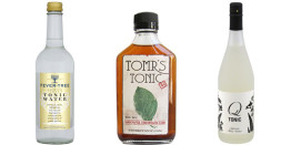 Insider Guide: How To Upgrade Your Gin And Tonic | VinePair