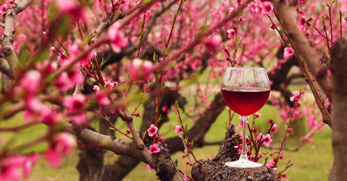 9 Easy To Make Wine Crafts That Will Brighten Your Spring | VinePair