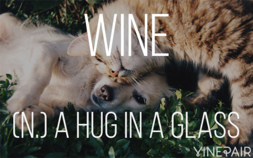 20 Funny Quotes Only Wine Lovers Will Understand Vinepair