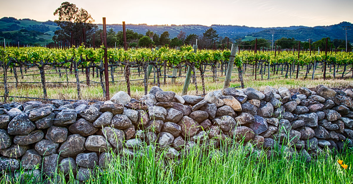 There Are Rocks Inside Your Wine. Here's How To Understand Minerality ...
