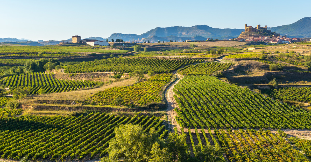 Rioja Should Be Your Official Red Wine Of Summer | VinePair