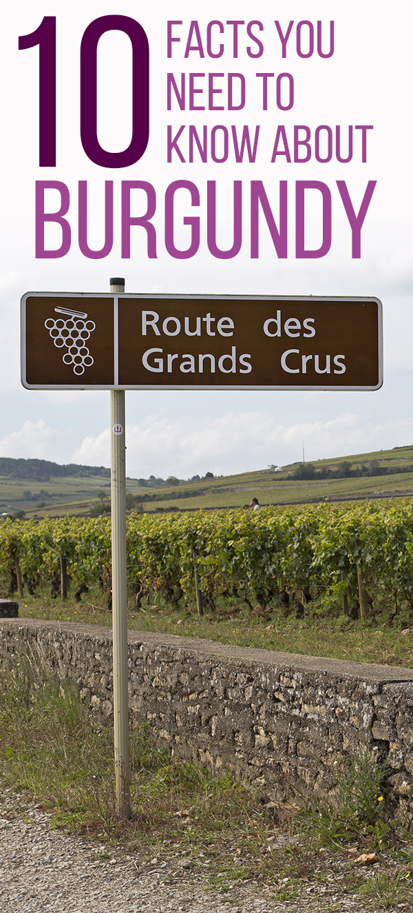 10 Things You Need To Know About Wine From Burgundy