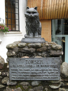 The Secret History Of Distillery Cats | VinePair