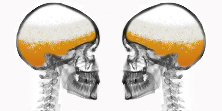 Study Finds One Sip Of Beer Makes Your Brain Crave More Beer