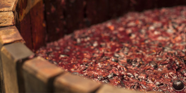 15 Of The Most Commonly Used Wine Terms, Decoded | VinePair