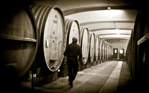 Barolo - A Guide To Barolo Red Wines From Italy | Wine 101