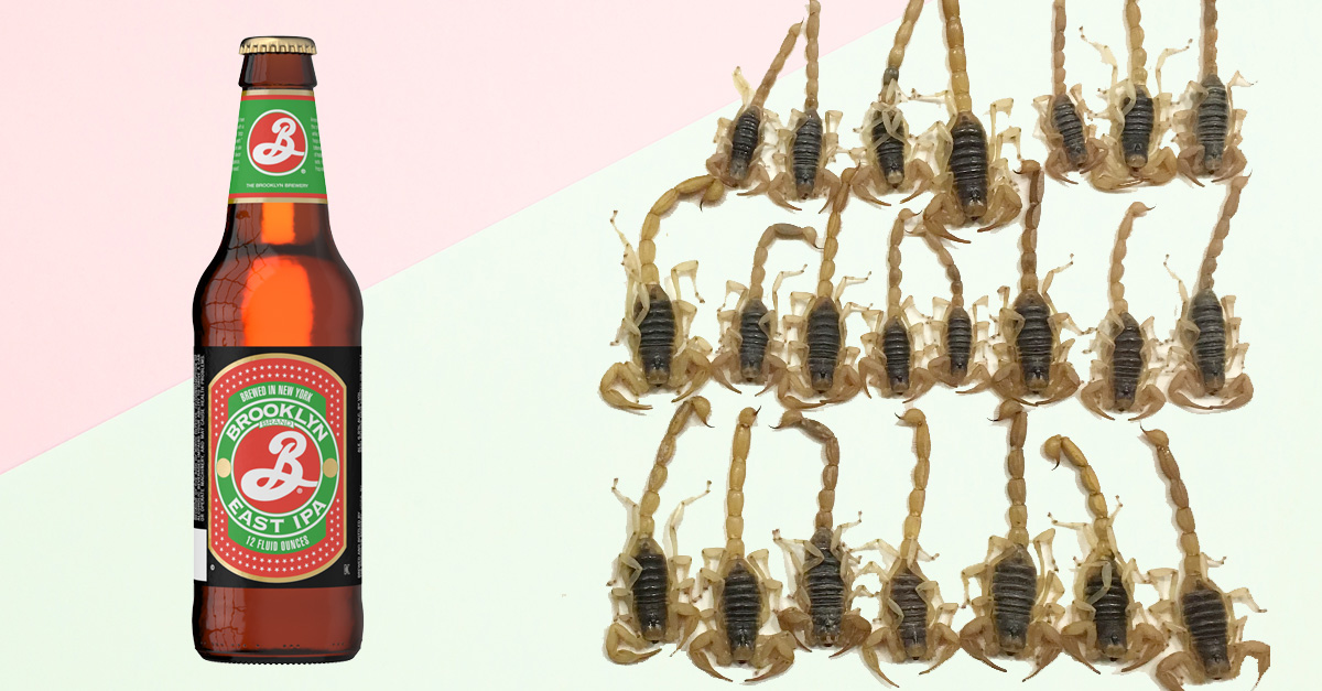 If You Want To Eat Bugs, Eat Them With Alcohol | VinePair