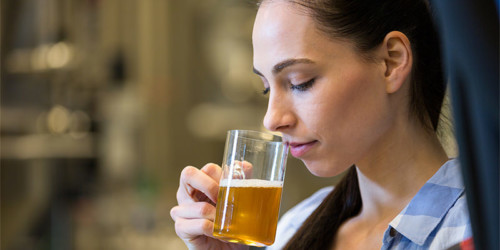 The 7-Step Method to Tasting Beer Like a Pro | VinePair