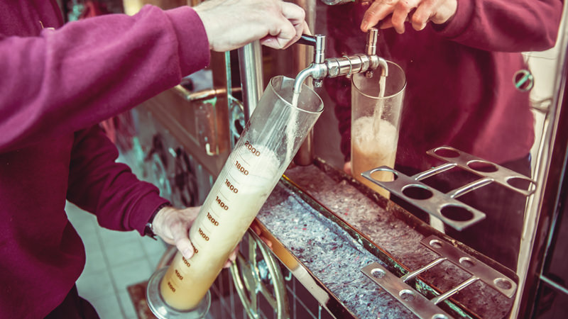 12 Colleges That Are Training Future Brewmasters | VinePair