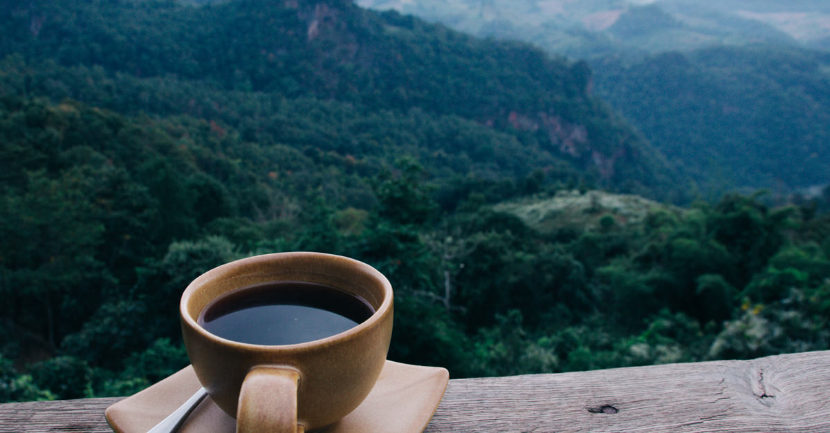 Does Coffee Have Terroir? | VinePair