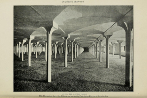 A Collection of Century-Old Photos of Guinness's Brewery Allows You to ...