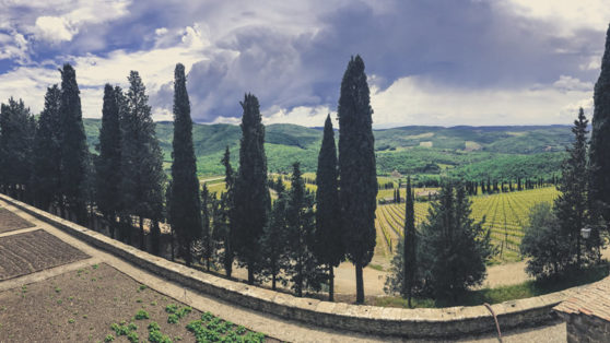 The Definitive Guide to the Regions of Chianti (With Map) | VinePair