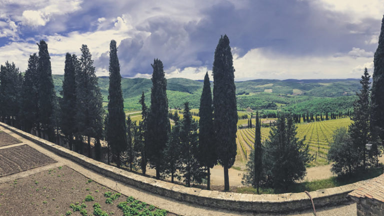 The Definitive Guide to the Regions of Chianti (With Map) | VinePair