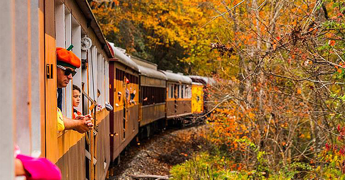 Take a Wine-Fueled Train Ride Through the Smoky Mountains | VinePair