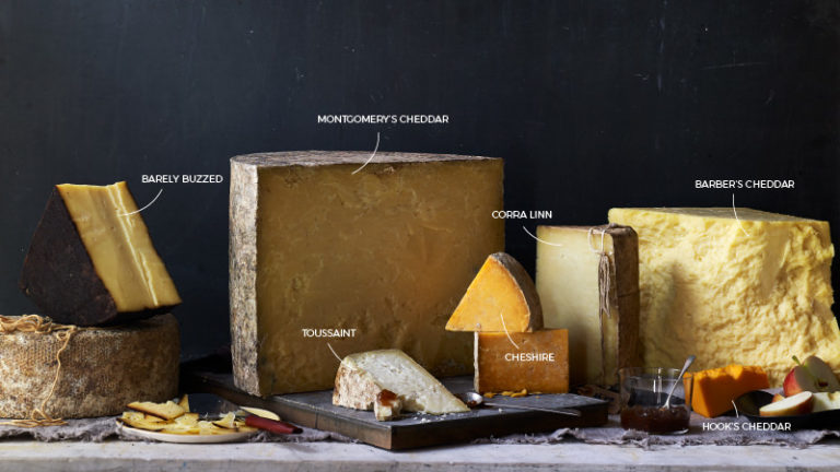 The 10 Cheeses You Need to Know to Understand All Cheese Ever | VinePair