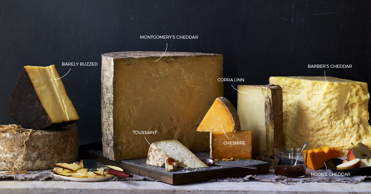 The 10 Cheeses You Need to Know to Understand All Cheese Ever | VinePair