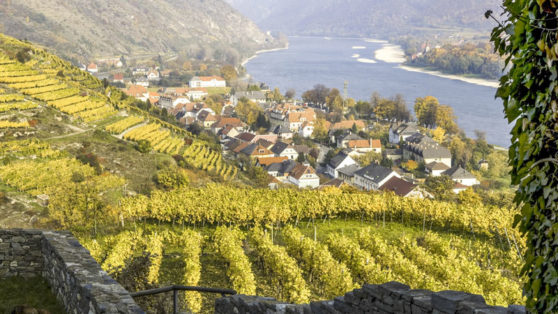 Style Guide: The World's Best Places for Growing Riesling | VinePair