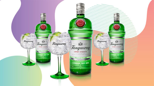 11 Things You Should Know About Tanqueray Gin | VinePair