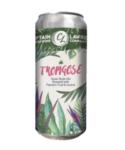 11 Best American Sour, Gose-Style Beers, Ranked (2018) | VinePair