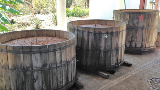 Go Inside the Mexican Distillery Producing Mezcal With Pre-Hispanic ...