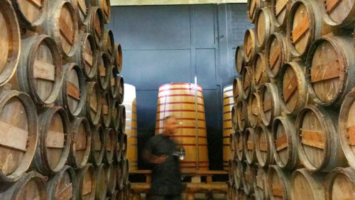 Go Inside the Greenest Rum Distillery in the Caribbean | VinePair