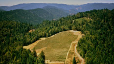 Killer Boo-quet: 10 American Wineries With Haunted Histories | VinePair