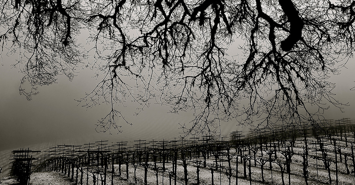 Killer Boo-quet: 10 American Wineries With Haunted Histories | VinePair
