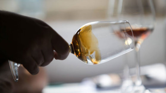 A Field Guide to Sherry, the Most Versatile Wine You Aren't Drinking ...