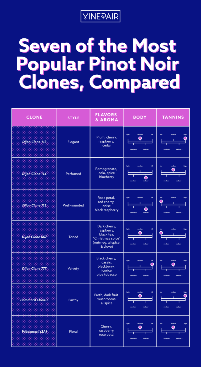Seven of the Most Popular Pinot Noir Clones, Compared (Chart) | VinePair