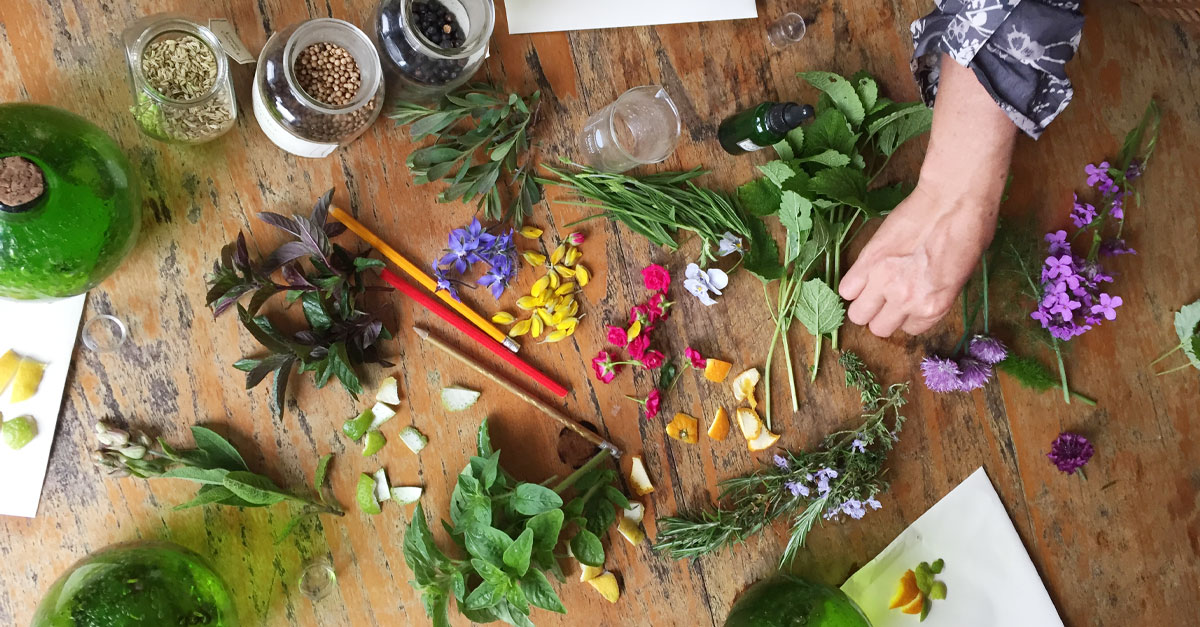 Understanding All the Flavors and Aromas in Gin (Flavor Wheel) | VinePair