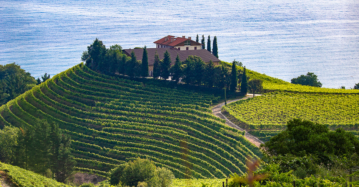 The Basque Wine That's Bright, Spritzy, and Perfect for Summer | VinePair