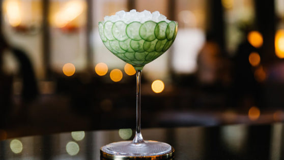 Cucumbers Are the Beer and Bar Worlds' Ultimate Summer Crush | VinePair