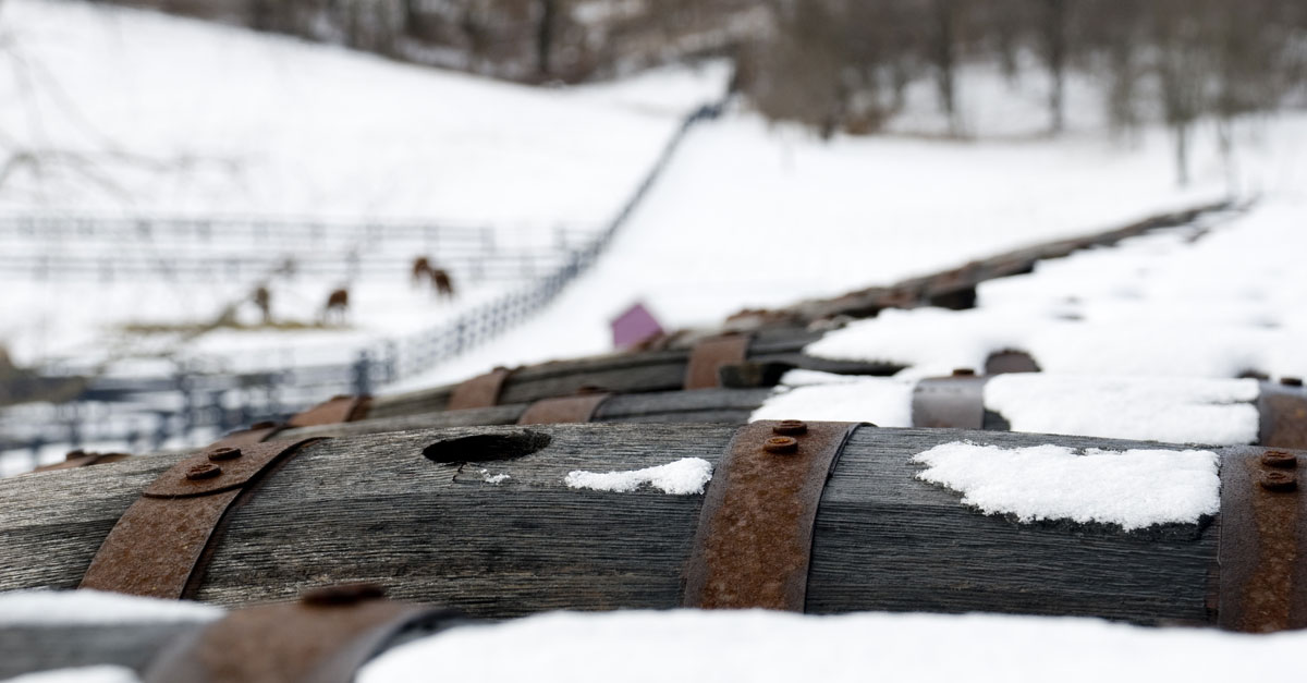 Modern Winemakers Are Rethinking Cold-Soaking as Wine Science (and ...