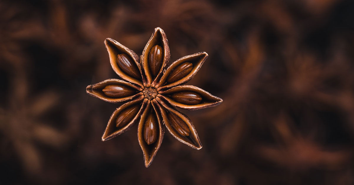 All the Anise Spirits That Aren't Absinthe, Explained | VinePair