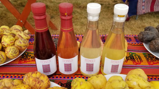 The Peruvian Farmer Crafting 'Wine' From High-Altitude Heirloom ...