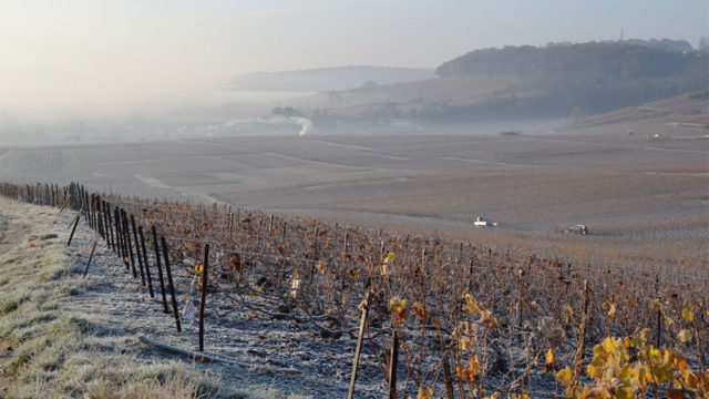 Faced With Record-High Temperatures and Unpredictable Harvests ...