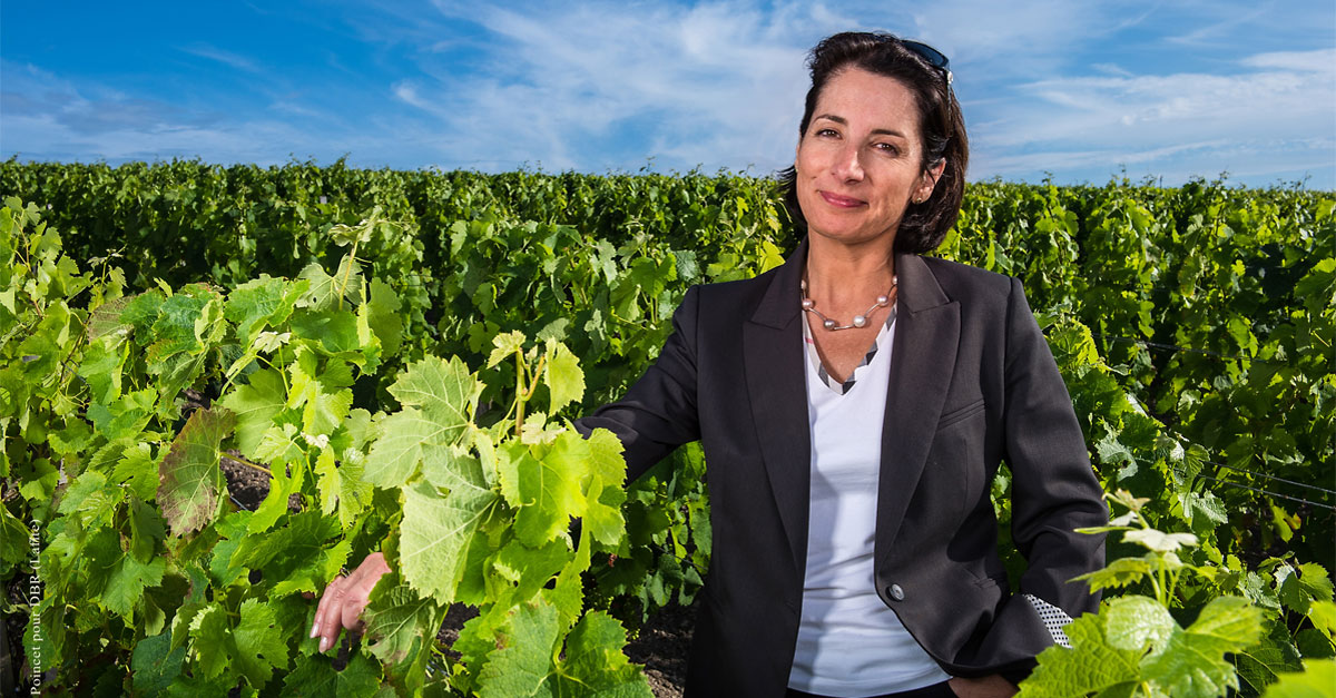 How DBR Winemaker Diane Flamand Is Making Bordeaux Wines More ...