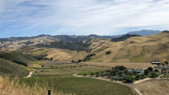 Getting to Know Happy Canyon, One of Southern California’s Tiniest AVAs ...