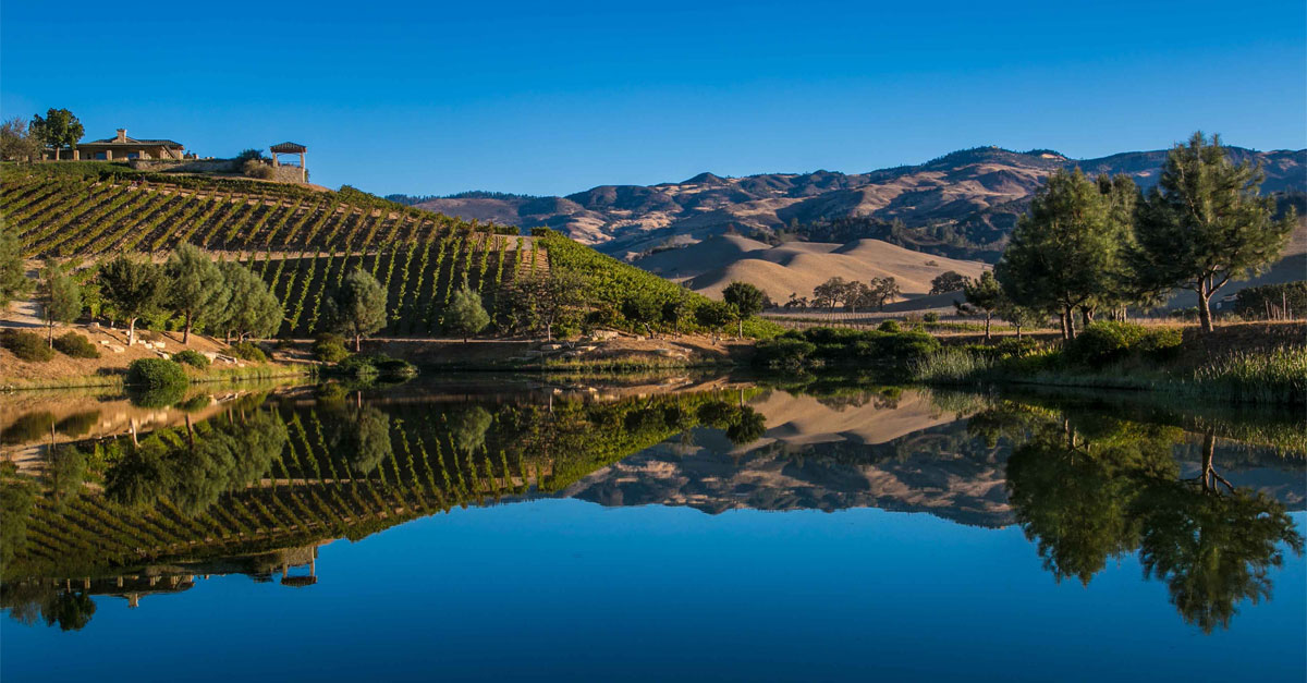 Getting to Know Happy Canyon, One of Southern California’s Tiniest AVAs ...